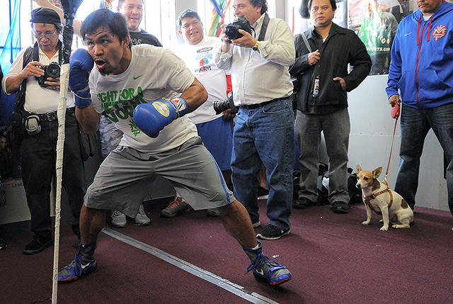 Roach, conditioning coach agree Pacquiao is 'ready to go' | GMA News Online