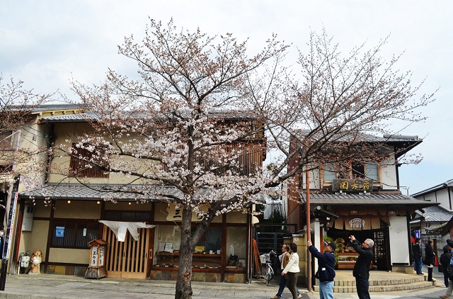 Kyodo: Japan eyeing visa waiver for Pinoy tourists | GMA News Online