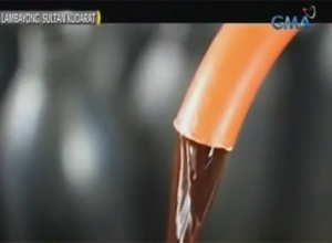 Basilan under state of calamity due to cocolisap infestation | GMA News ...