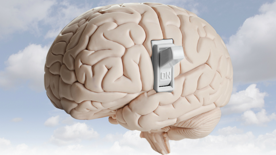 Tickling the brain can boost immunity — study | GMA News Online