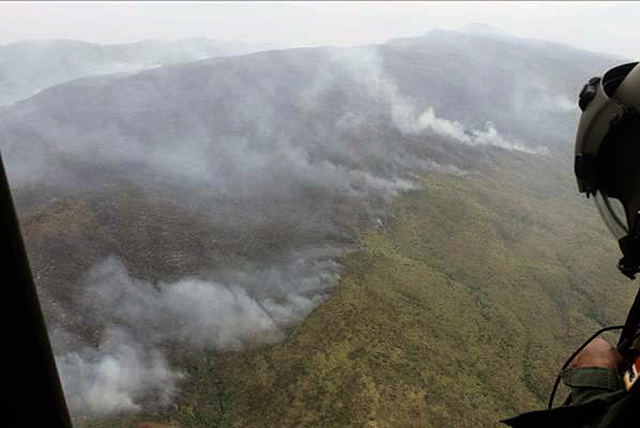 NDRRMC: Aurora bush fire out | GMA News Online
