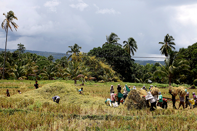 DA: Western Visayas rice processing center to benefit more than 200 ...