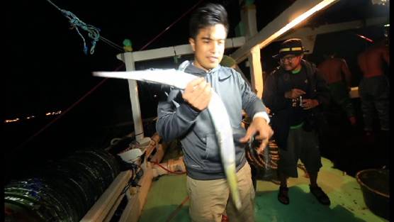 Philippine Endemic Birds and Manila Bay's Big Fish on 'Born to be Wild ...