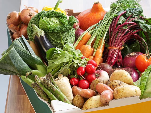 Oh my gulay! DepEd, TESDA launch vegetable cook-off contest | GMA News ...