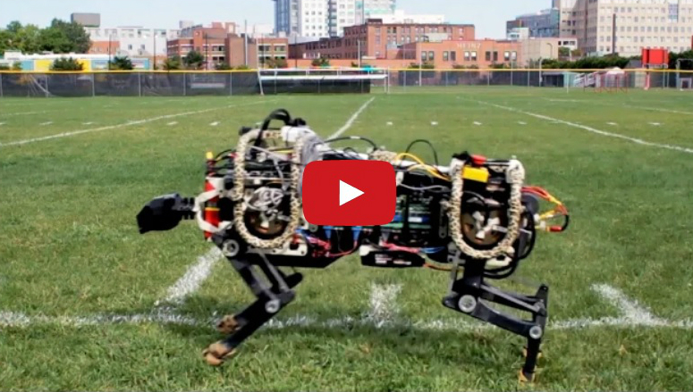 WATCH: Robot cheetah unleashed in public | GMA News Online