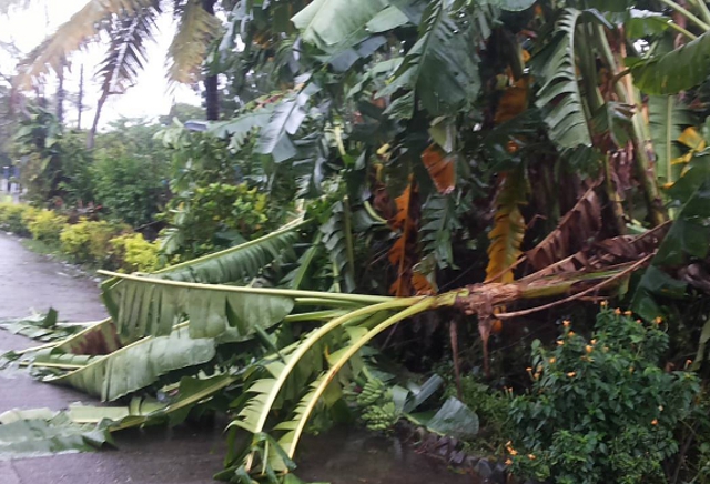 Ilocos Norte, patuloy na hinahagupit ni bagyong Mario | GMA News Online