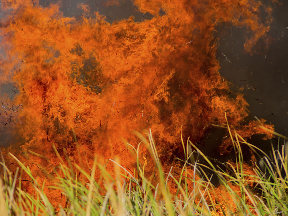 Grass fire hits town in Pangasinan | GMA News Online
