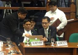 Binay daughter’s Instagram posts used as evidence in Senate probe ...