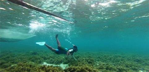 Mga 'di malilimutang karanasan sa Cebu, babalikan sa 'Motorcycle ...