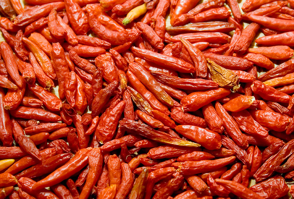 WATCH: Albayanos take part in sili-eating contest | GMA News Online