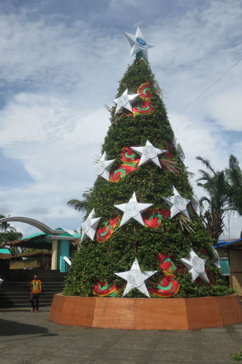 Salceda declares Albay ‘APEC ready’ a week before preparatory meet ...