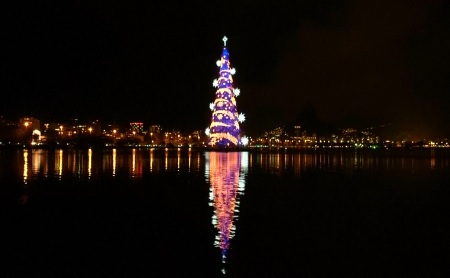 World’s tallest floating Christmas tree lit up in Rio de Janeiro | GMA ...