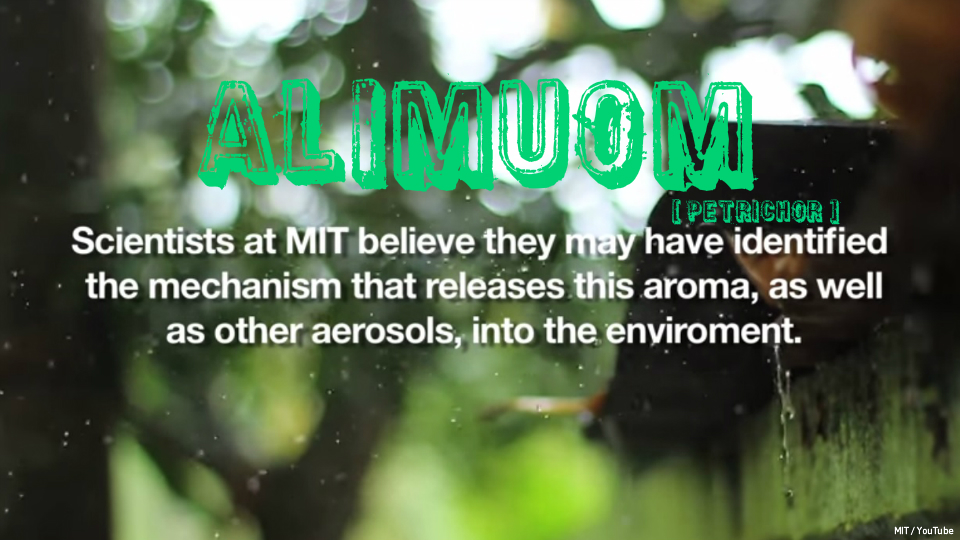 Finally, a scientific explanation for ‘alimuom’ | GMA News Online