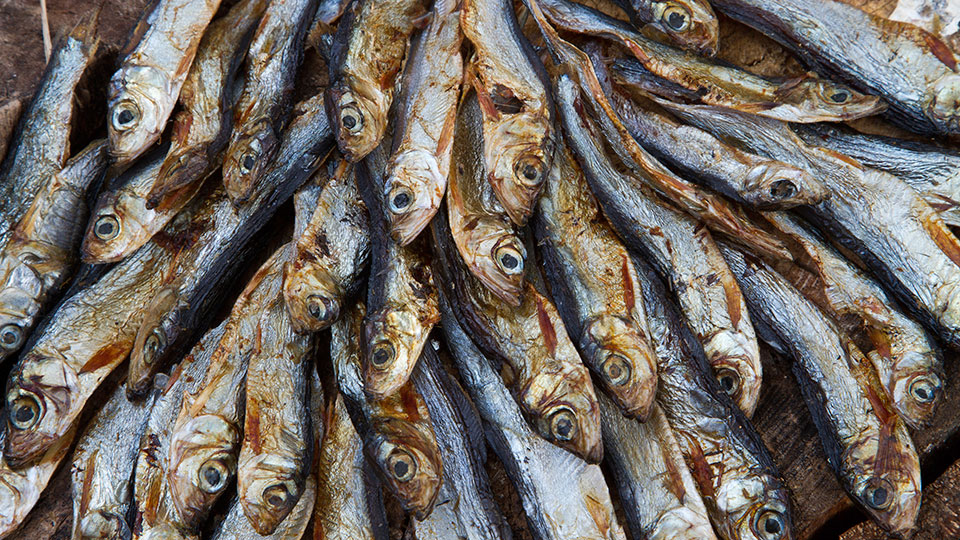 Top chefs launch campaign to eat more small fish | GMA News Online
