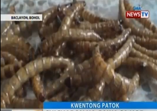 Chicharong uod, patok sa isang pasyalan sa Bohol | GMA News Online