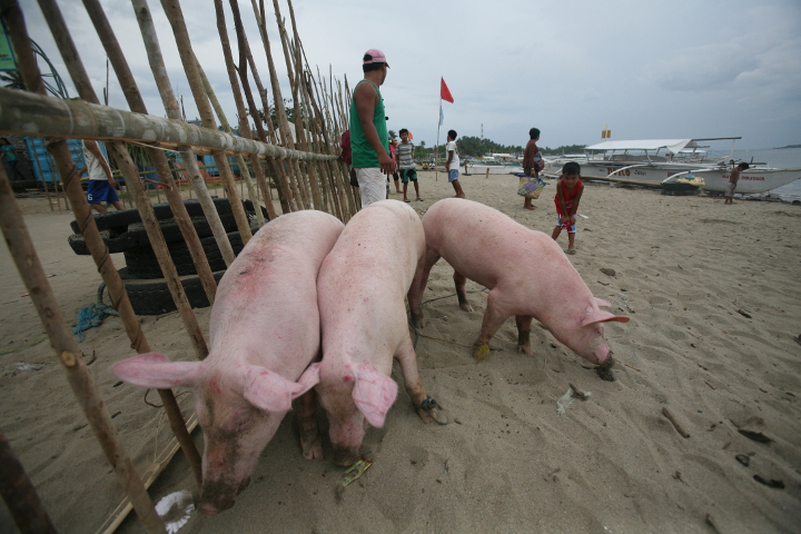 LOOK: Rain, winds in Isabela, Cagayan ahead of Dodong's expected ...