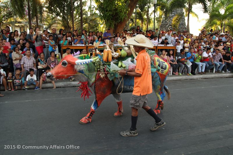 LOOK: Festive carosas, painted carabaos at farmers’ festival in Batac ...