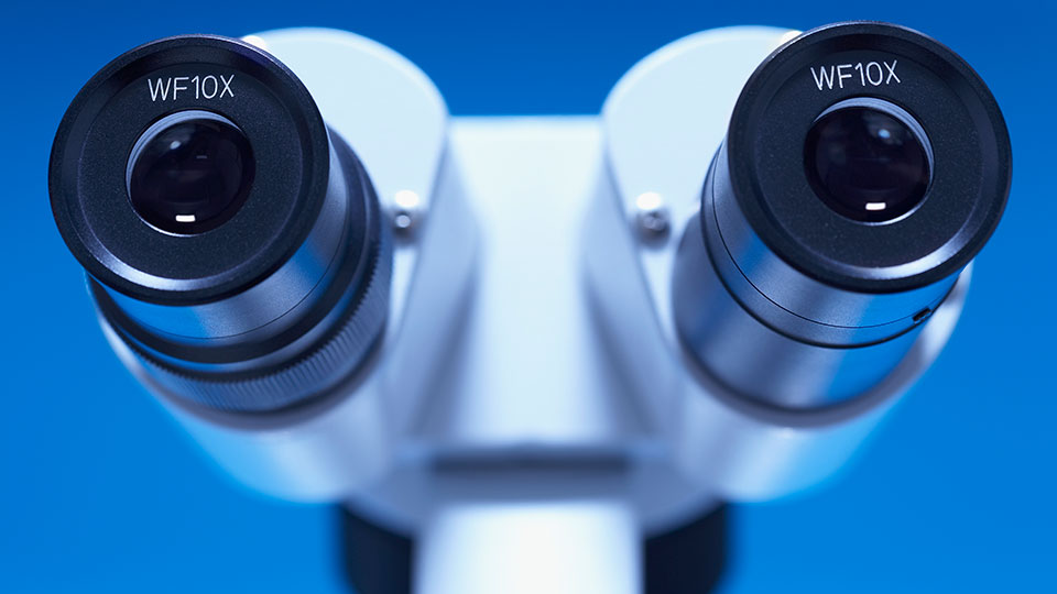 Israeli scientists produce energy from plants | GMA News Online