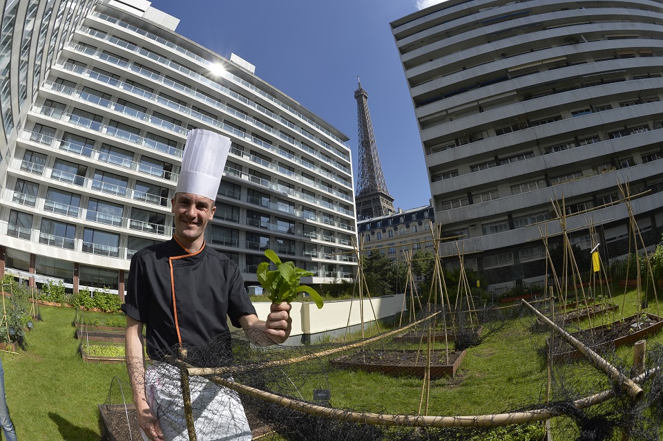Paris chefs hit the roofs with wave of gastro gardens | GMA News Online
