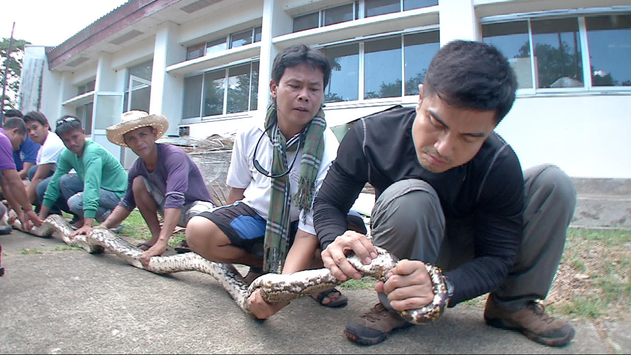 Animal rescue and more footage of the 'ibid' on this Sunday's 'Born to ...