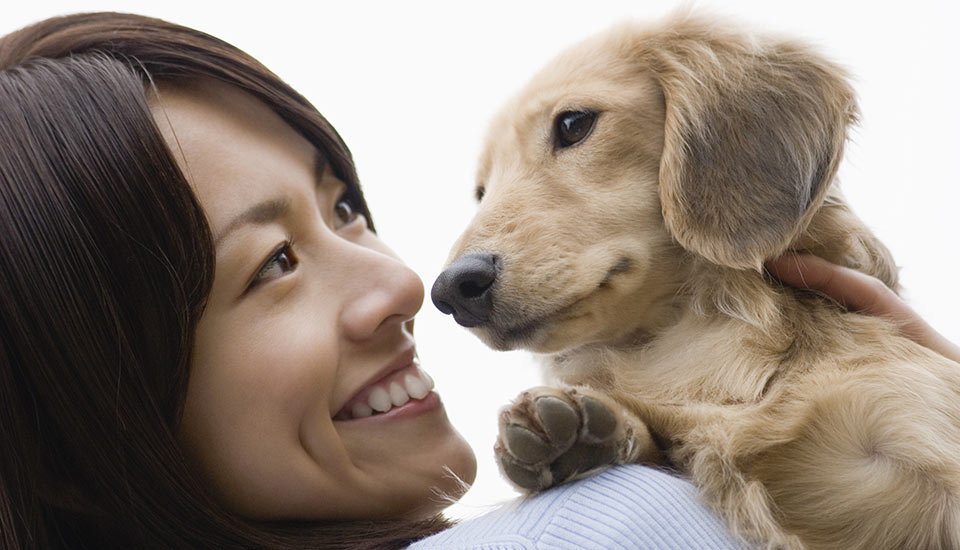 Eye contact helped dogs become our friends | GMA News Online
