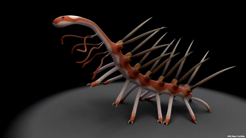 It's no hallucination, this creature is just really weird | GMA News Online