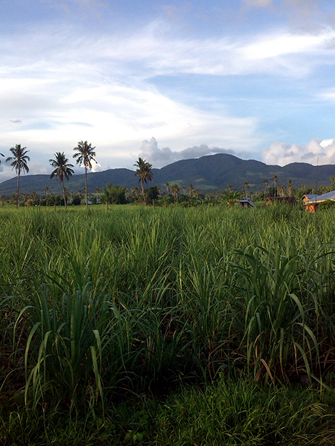 DAR misses land distribution target in 1st quarter of 2022 | GMA News ...