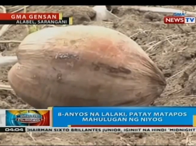 8-year-old boy dies after buko falls on him in Sarangani | GMA News Online