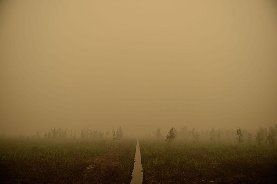 Indonesia now looks at land-burning laws in effort to halt haze | GMA ...