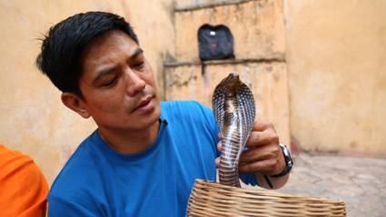 India's snake charmers and Nepal's snow mountain on 'Born to be Wild ...