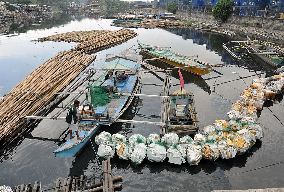 BFAR chief ensures proper enforcement of laws to improve fish ...