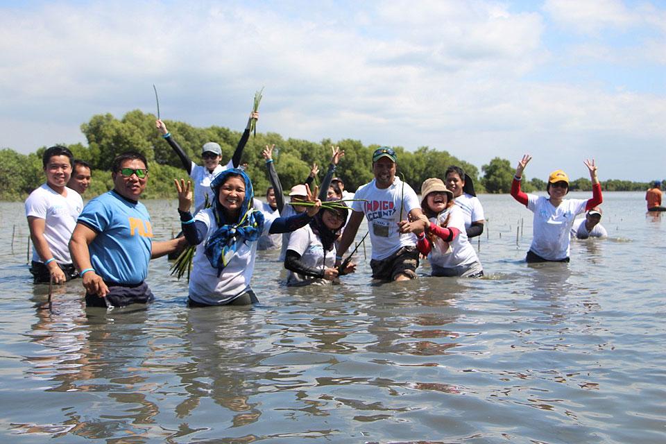 GMA employees plant mangrove propagules along Kawit coastline | Photos ...