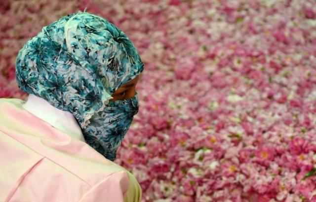 Syria’s famous damask rose withered by war