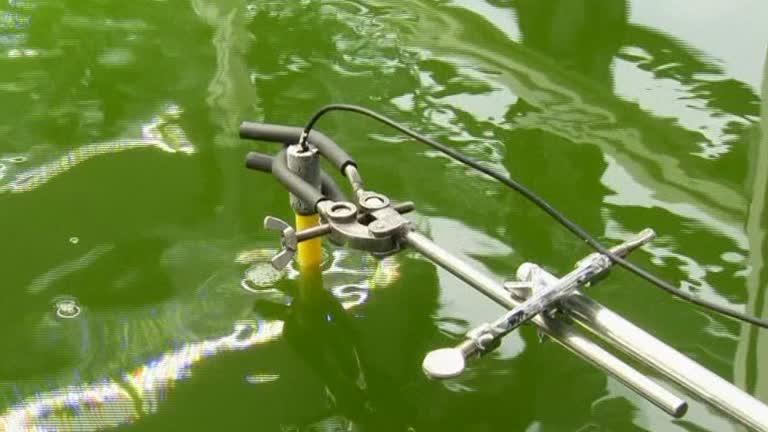 From green slime to jet fuel: algae offers airlines a cleaner future ...