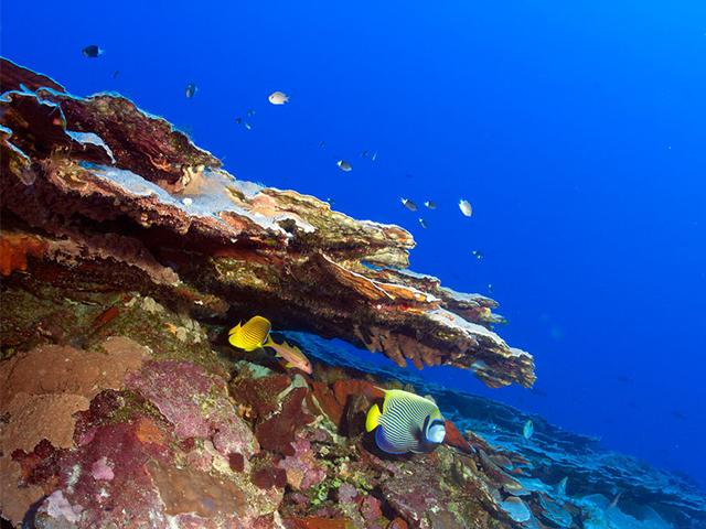 Protection of PHL's Benham Rise vs. foreign incursion urged | GMA News ...