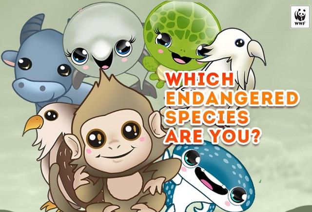 Take the WWF quiz: Which endangered species are you? | GMA News Online