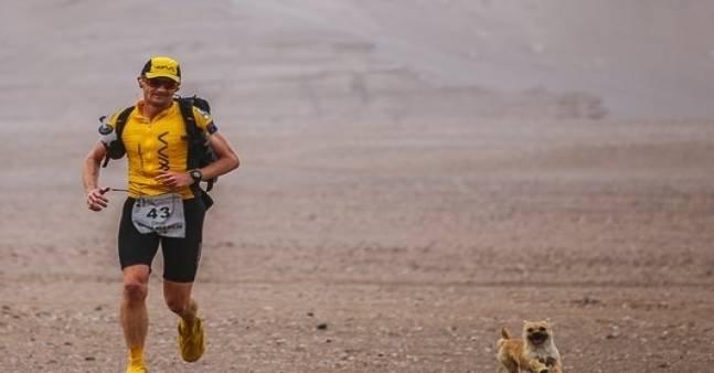 Extreme runner wants to be reunited with stray dog that followed him ...