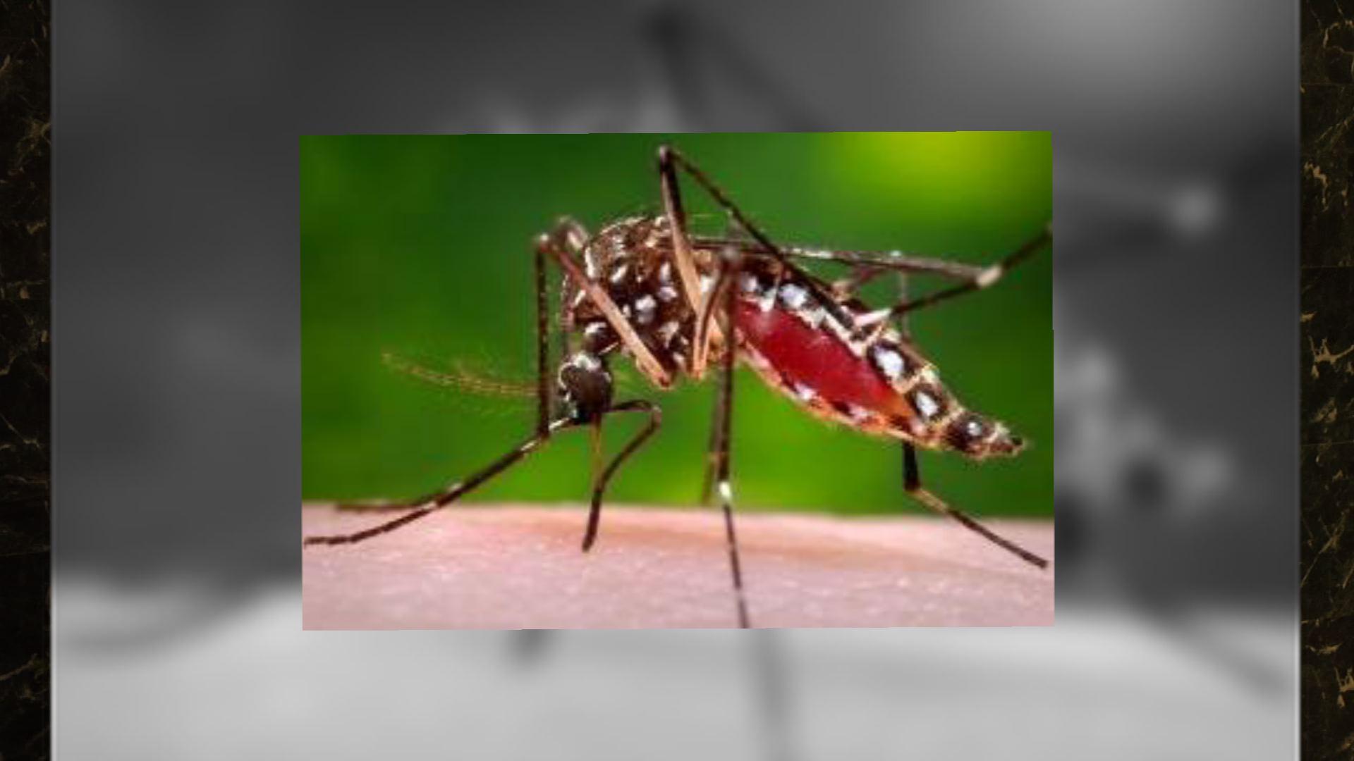 Mga dapat gawin para maiwasan ang Zika virus, alamin sa 'Pinoy MD ...
