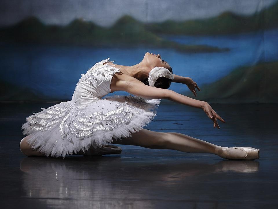 Braving the pain, bringing the passion: ‘The Swan, The Fairy & The ...