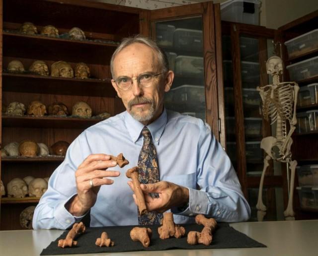 Human ancestor Lucy was as good at climbing trees as walking | GMA News ...