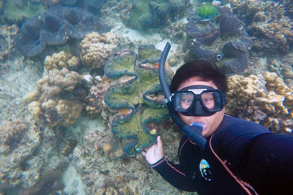 Samal Island offers giant clam sanctuary to tourists | Photos | GMA ...