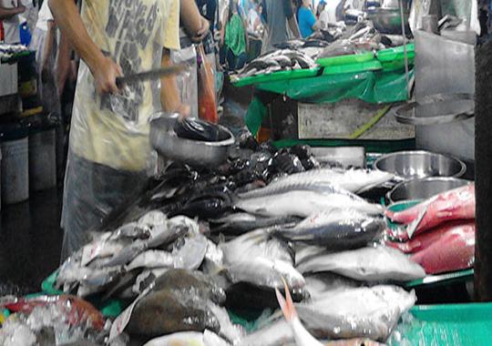 Fish, shellfish from Cavite now safe to eat after Bataan oil spill ...