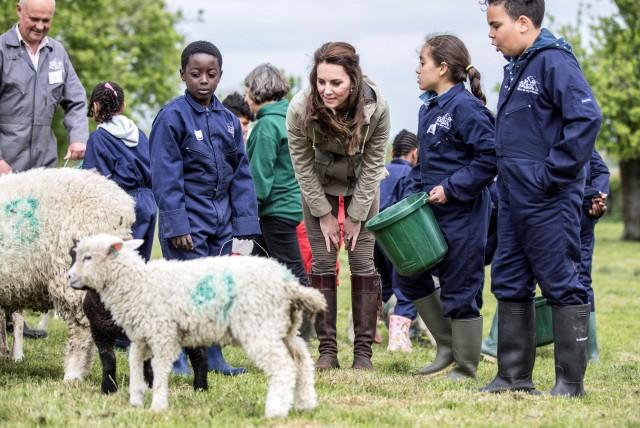 UK's Duchess Catherine joins school children down on the farm | GMA ...