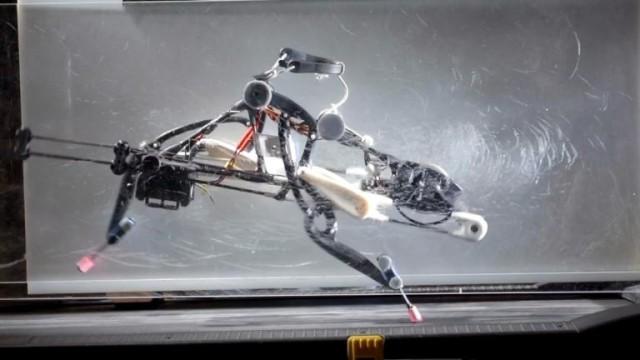 Ostrich-like robot balances itself as it runs