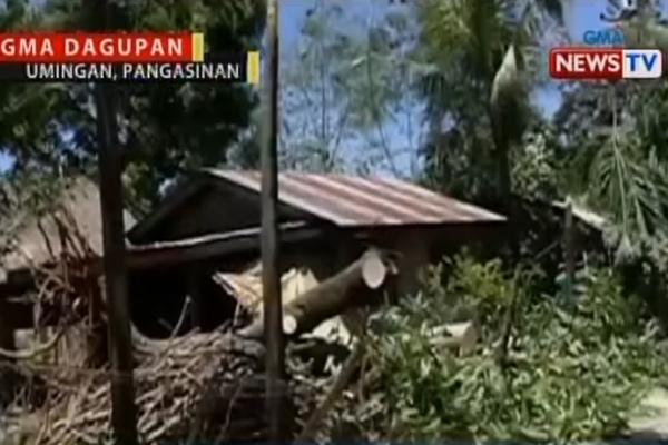 Buhawi, nagpatumba ng mga puno at poste sa Pangasinan; ilang bahay, nasira | GMA News Online