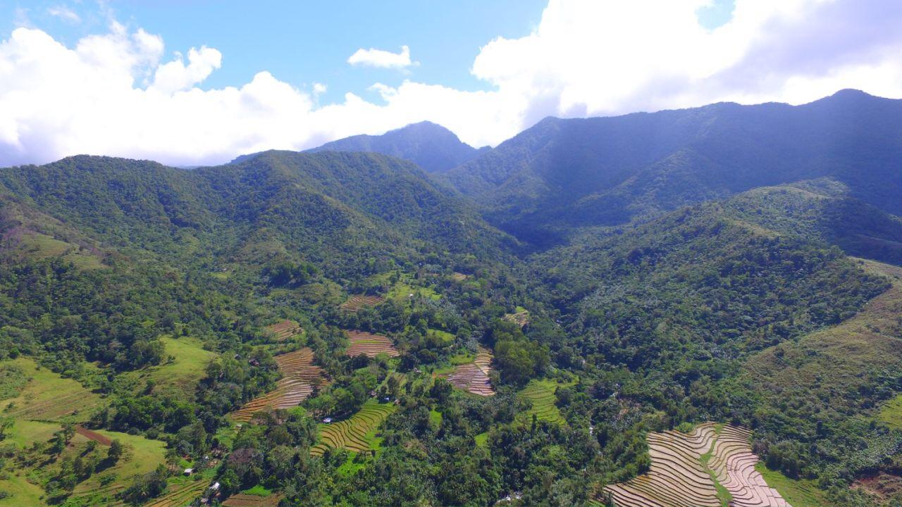 Mga gusali sa kagubatan ng Negros Occidental, susuriin sa Investigative ...