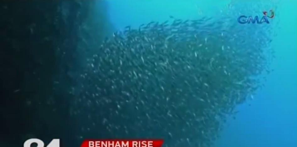 Permanent structure on Benham Rise could lead to bonanza for PHL ...