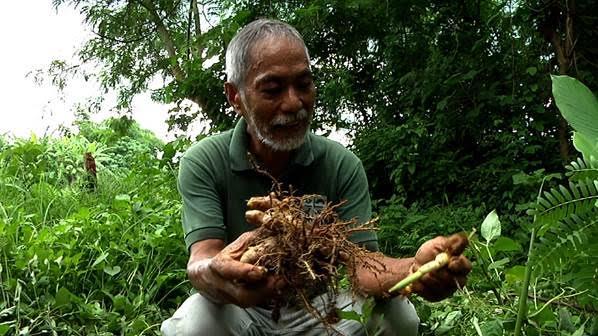 Botika sa bakuran, ibibida sa 'Pinoy MD' | GMA News Online