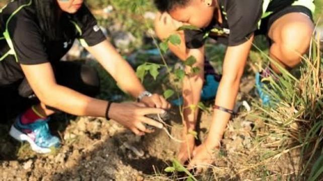 National Greening Project ng DENR, susuriin sa Investigative ...
