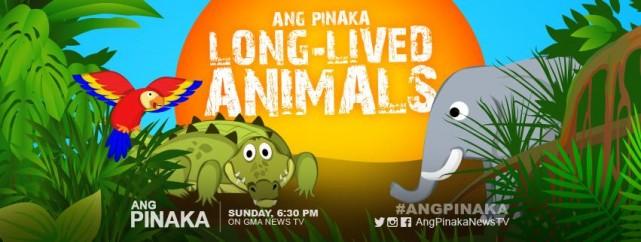 'Ang Pinaka' lists down the top 10 longest-living animals | GMA News Online